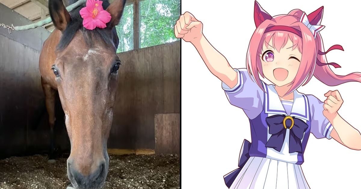 Haru Urara ครองใจทั่วโลก! จากม้าผู้ไม่เคยคว้าชัยชนะ สู่ไอคอนแห่งความ ...